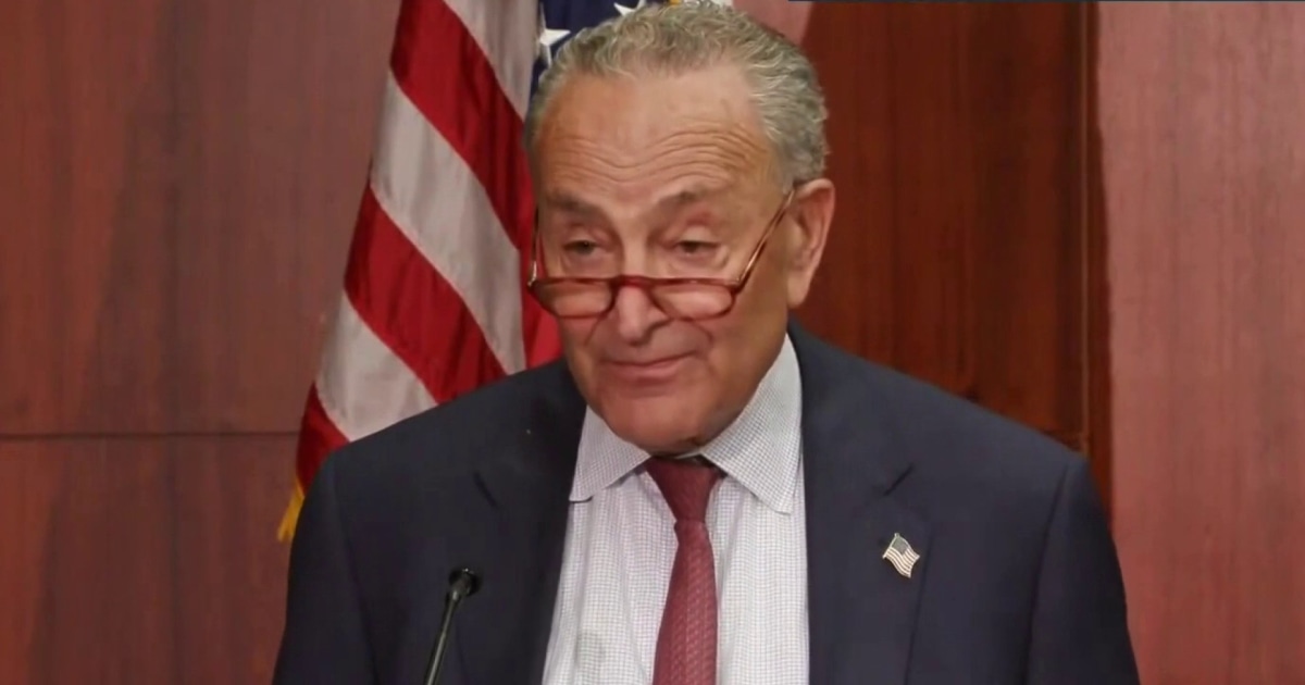 Schumer Unveils New Ai Tools