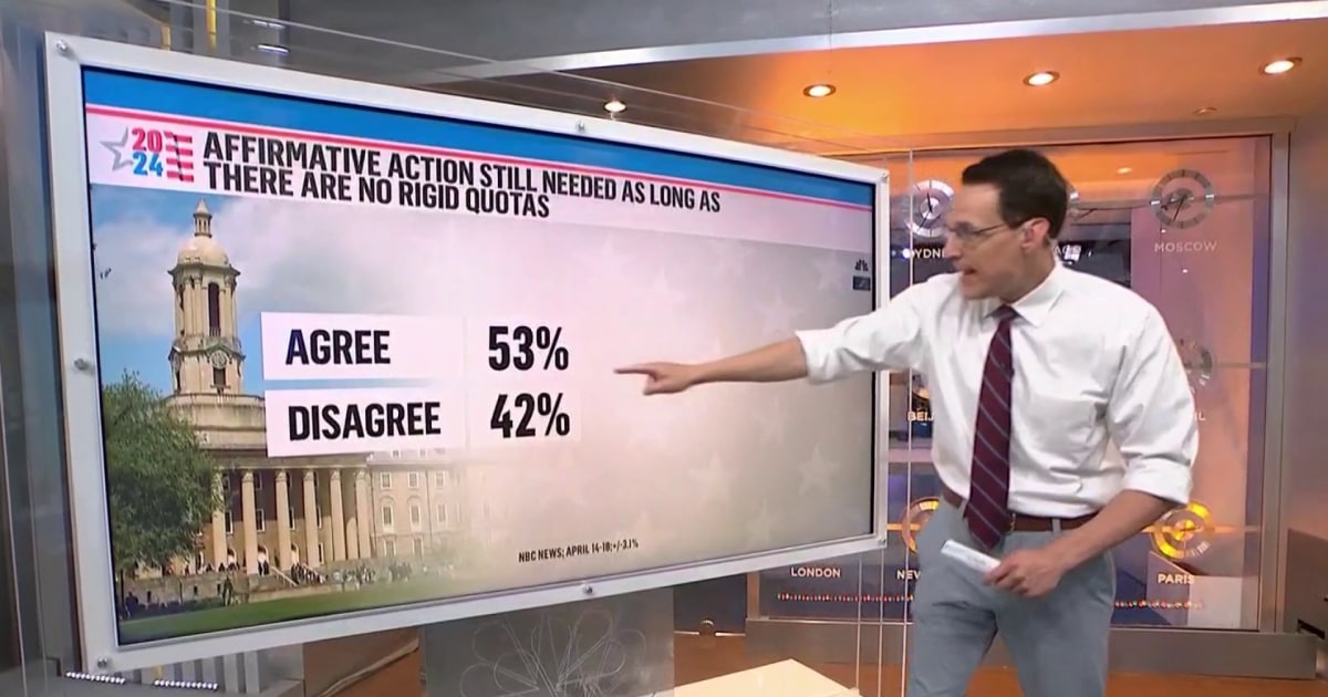 What is the public opinion on affirmative action?