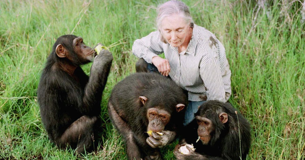 Inspiring America: Jane Goodall's program influences change in communities