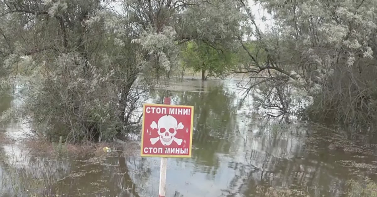 Demining teams struggle to access Ukraine’s flooded minefields after ...