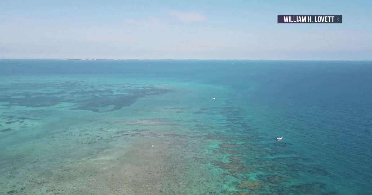 Record summer heat endangering coral reefs near Miami