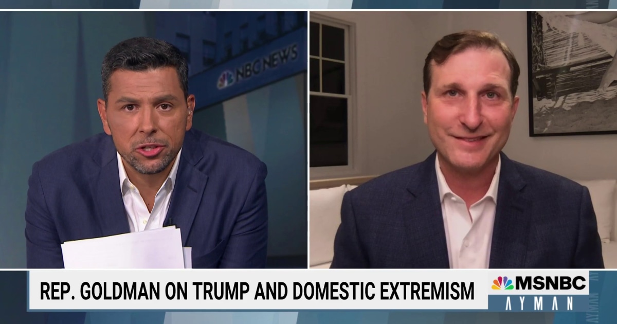"Weed Out Extremists Within Your Ranks": Rep. Dan Goldman to DHS