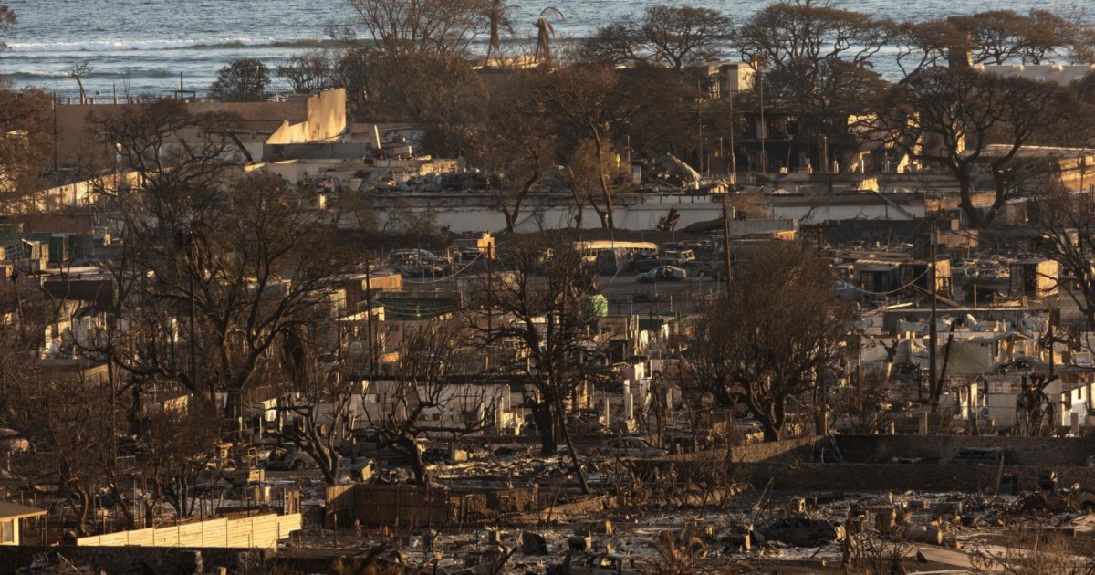 Maui wildfire survivor says it’s a nightmare that won’t end
