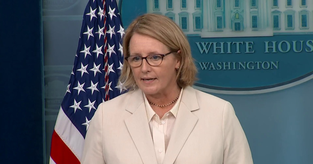 FEMA administrator gives update on Hawaii wildfires response at White ...