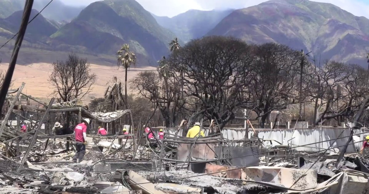 FEMA searching through wildfire debris in Maui for remains of victims