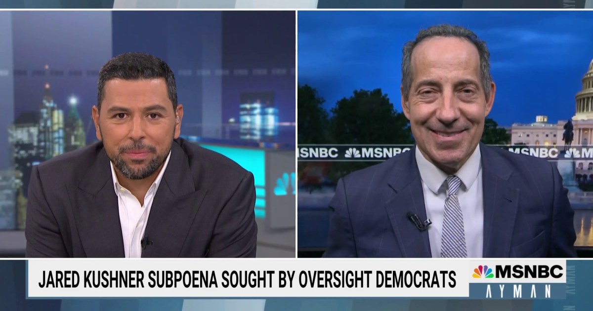 Rep. Jamie Raskin on fighting the right-wing plot to gut the federal ...