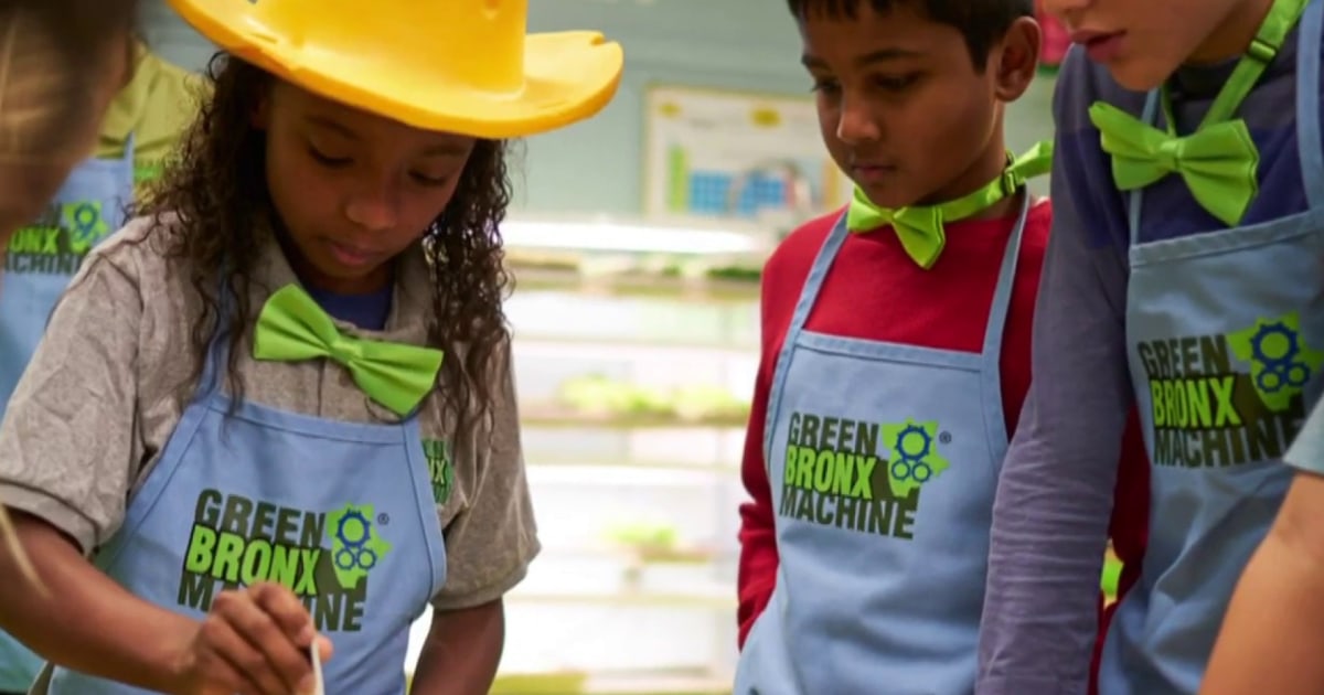 National STEM challenge encourages science innovation among kids