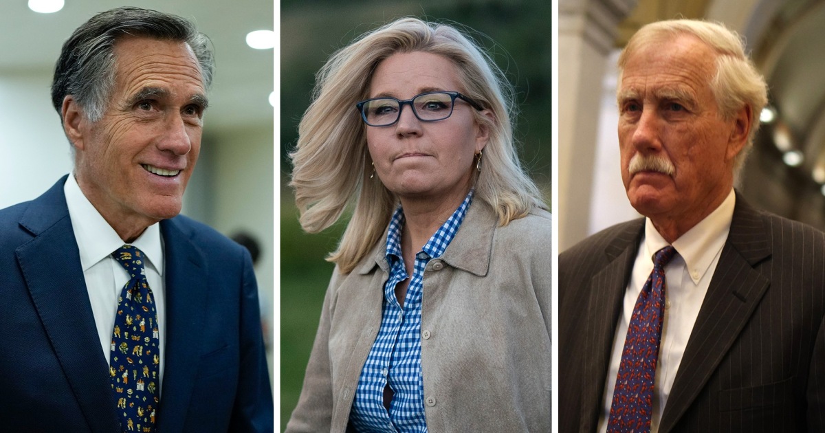 Raskin floats Liz Cheney, Mitt Romney, Angus King as consensus speaker ...