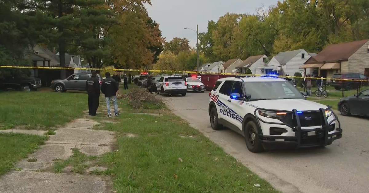 4-year-old boy killed in Detroit dog mauling