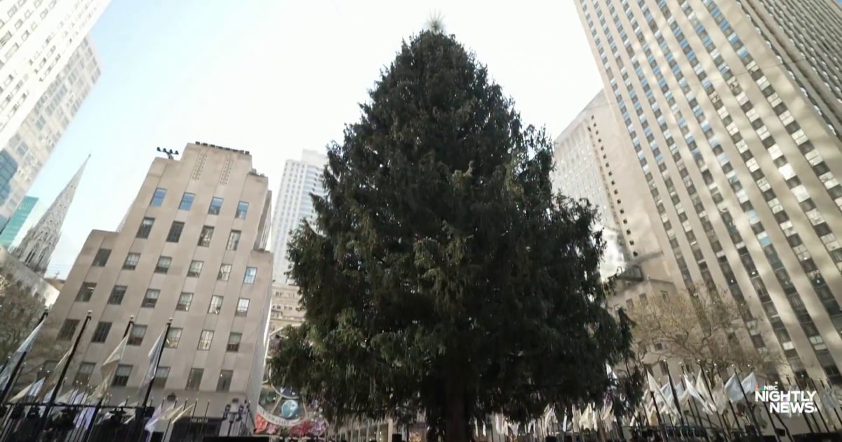 The family behind this year’s Rockefeller Center Christmas Tree