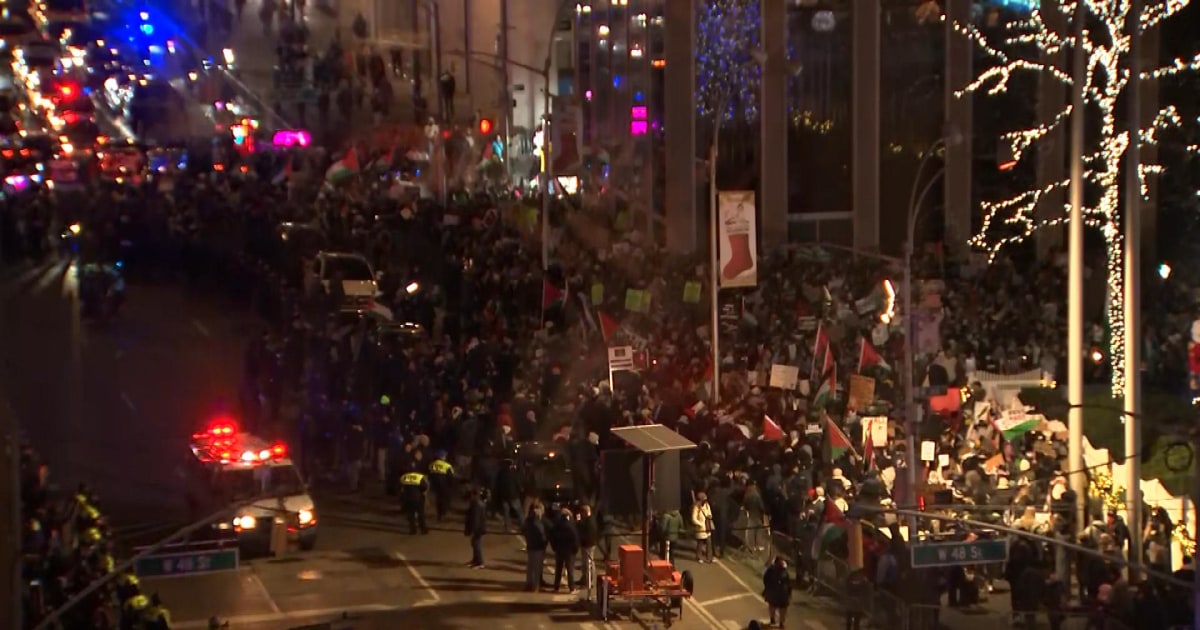 Pro-Palestinian demonstrators gather in NYC amid Rockefeller tree lighting