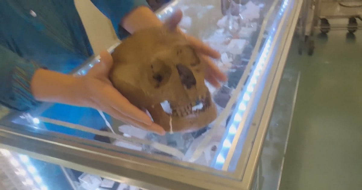 Customer finds human skull for sale in Florida thrift store