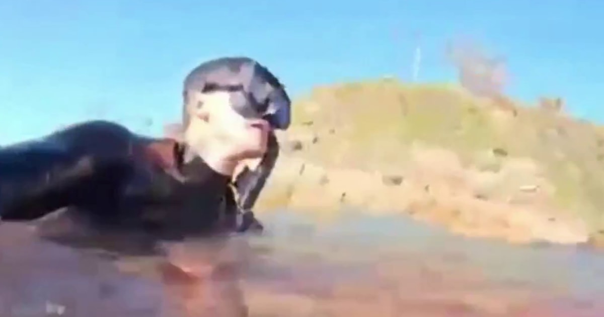 Video shows moments after man gets bitten by shark in Australia