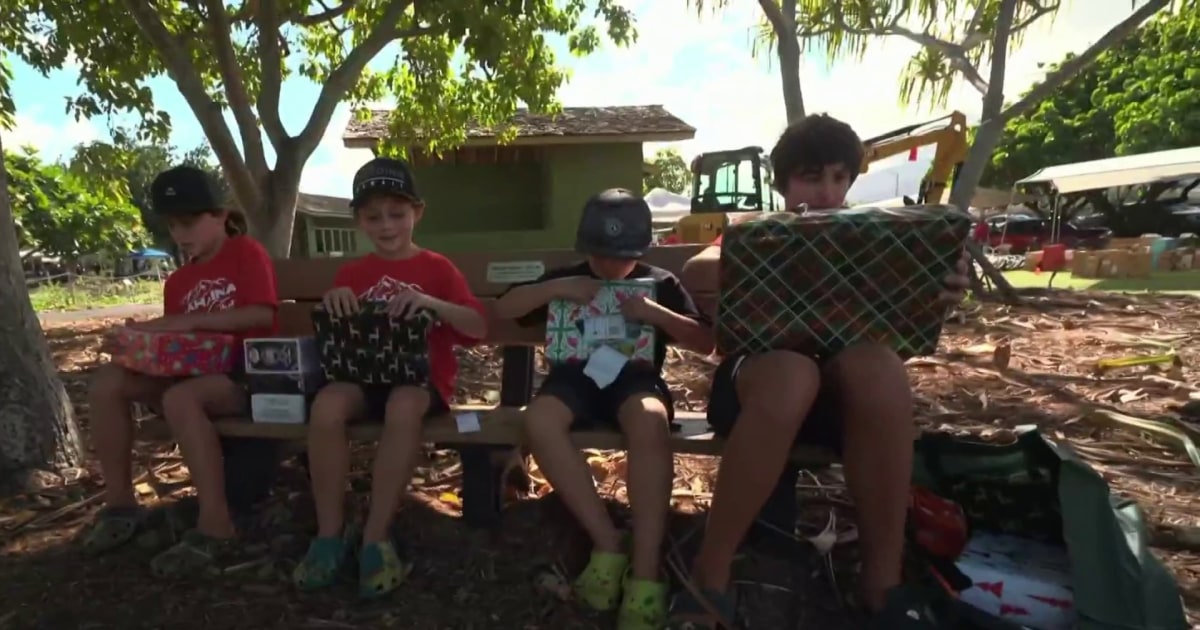 Hundreds of children have wishes granted in massive Maui toy drive