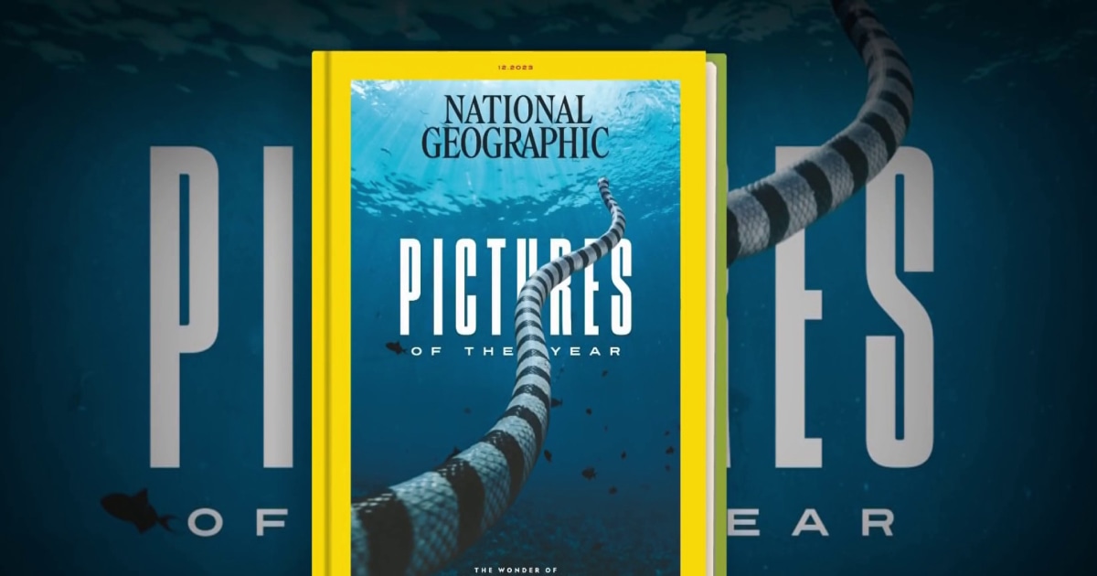How National Geographic selects the ‘pictures of the year’