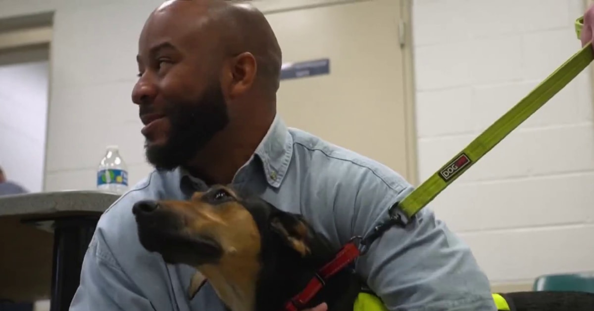 Virginia program pairs inmates and shelter dogs to work together