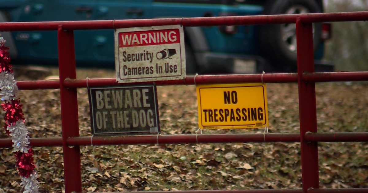 3-month-old killed by 'wolf-hybrid' pet in Alabama