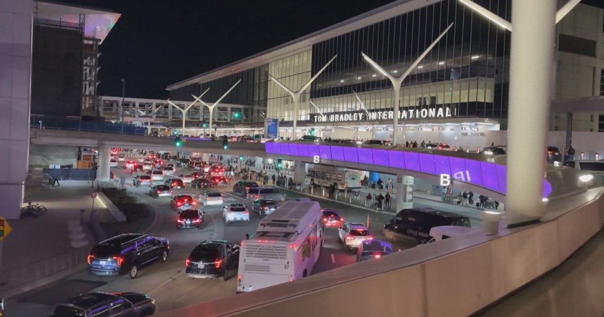 Russian stowaway found on flight from Denmark to Los Angeles