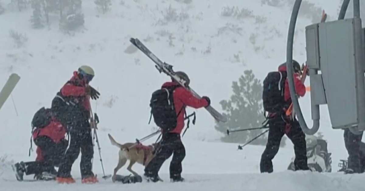 Witness described deadly avalanche aftermath in California