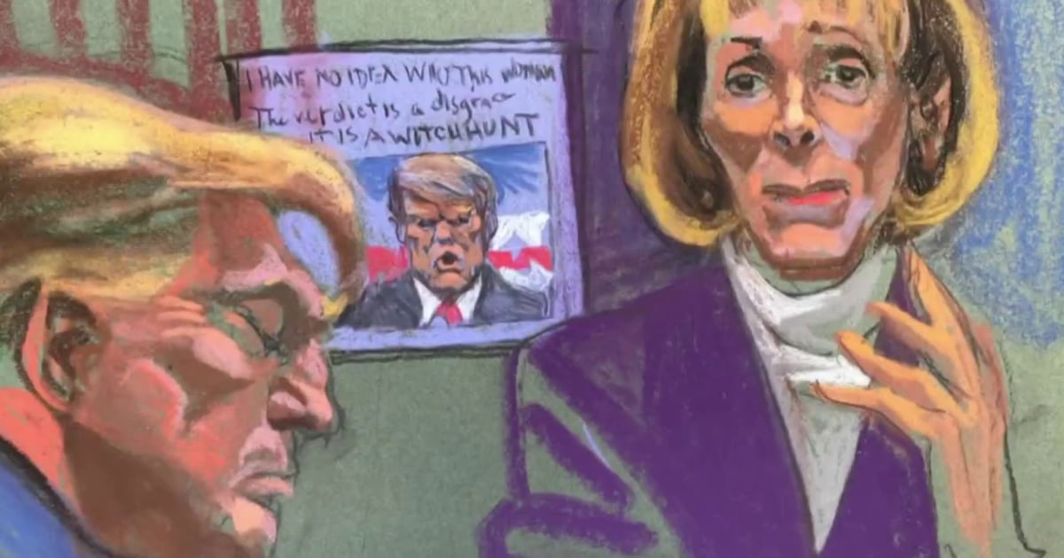 Lisa Rubin: Trump and his team 'believe they are above the law'