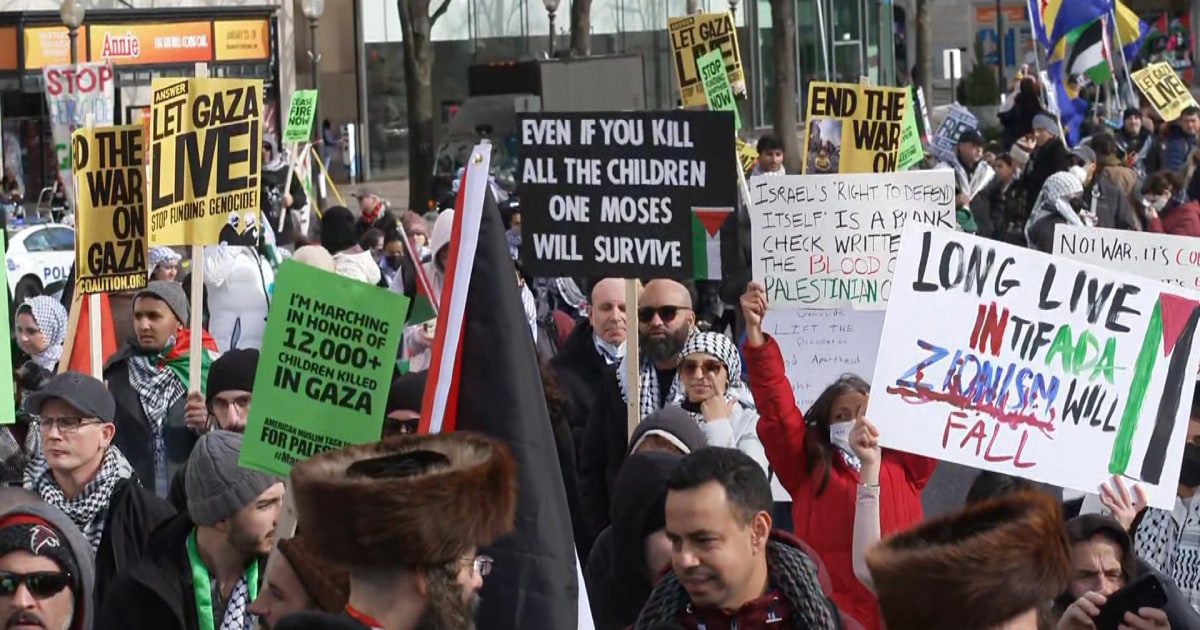 Thousands gather in Washington, D.C. in support of Gaza