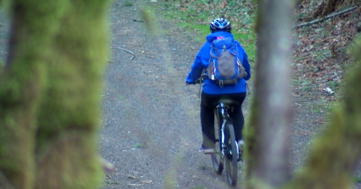 Cyclist in Washington state injured after cougar attack