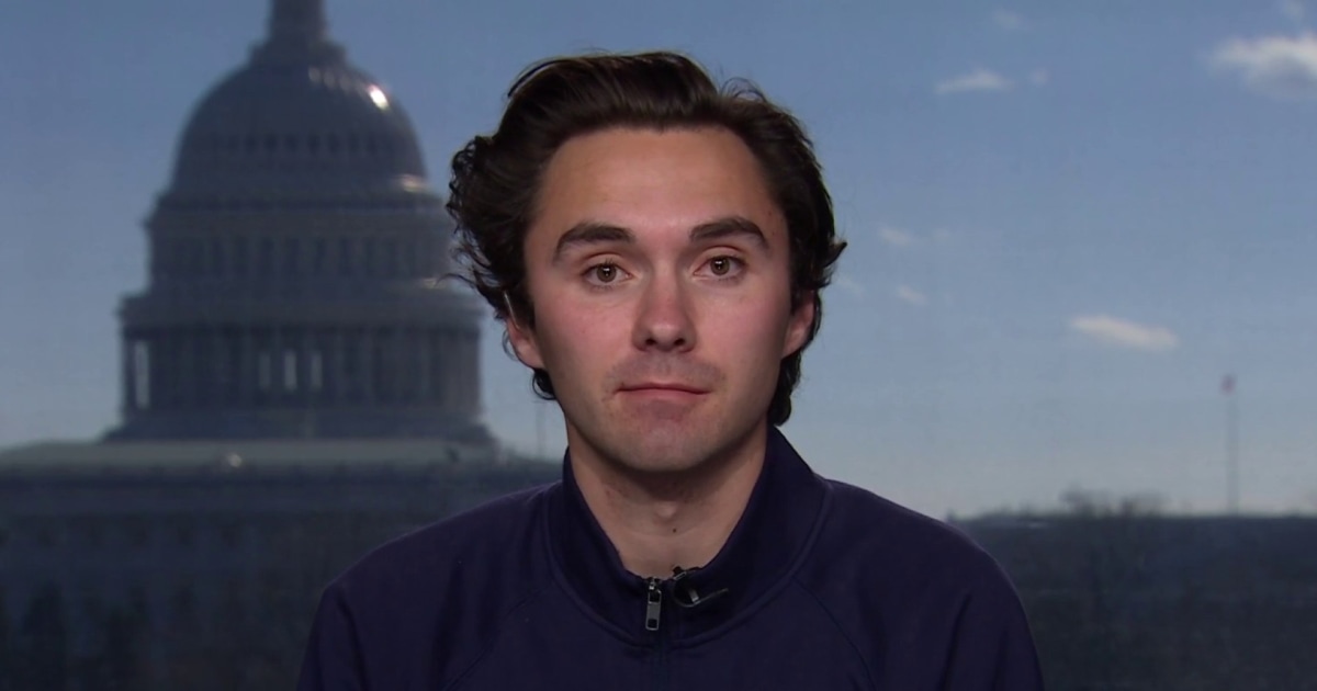 DAVID HOGG: Families use A.I. generated voices to 'get people's ...