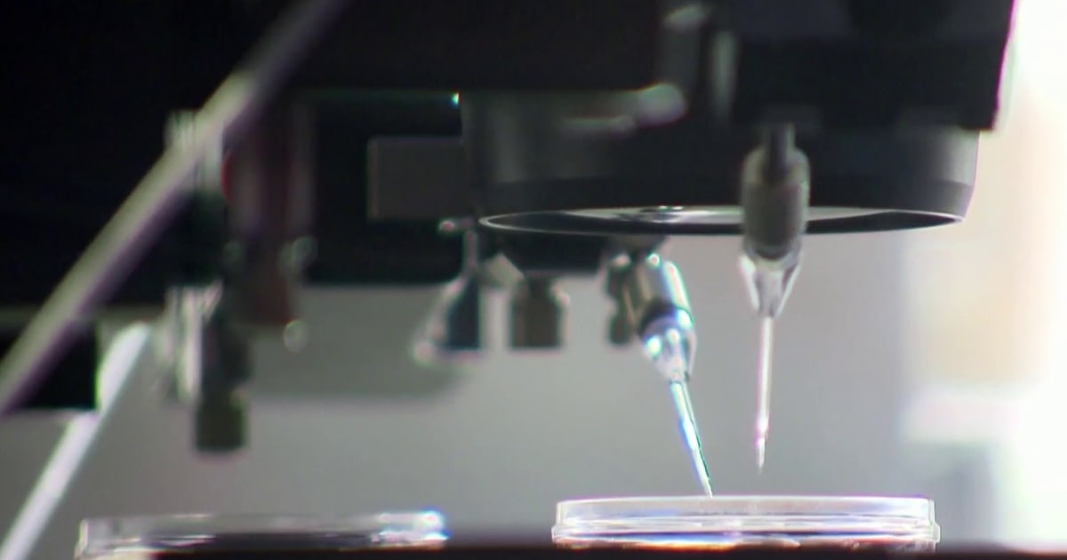 Alabama high court rules that frozen embryos are people