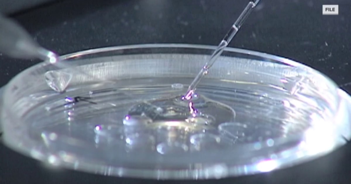 "How far are conservatives willing to push their agenda?': Alabama ...