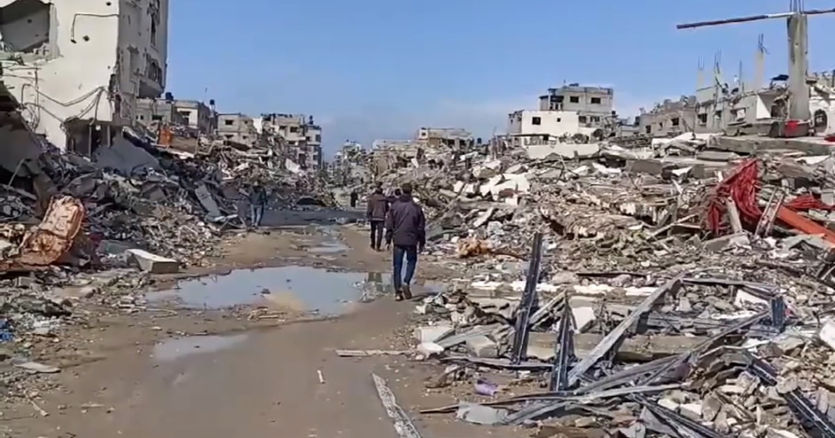 Video shows northern Gaza's Beit Lahia in ruins