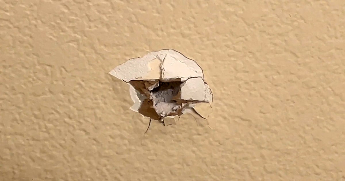 San Diego woman shot in head through bedroom wall