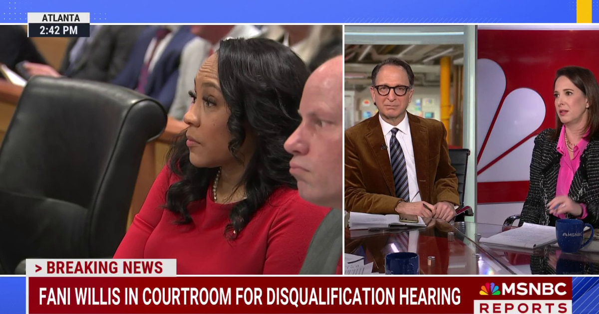 'Never met the threshold' Lisa Rubin on Fani Willis Disqualification Case