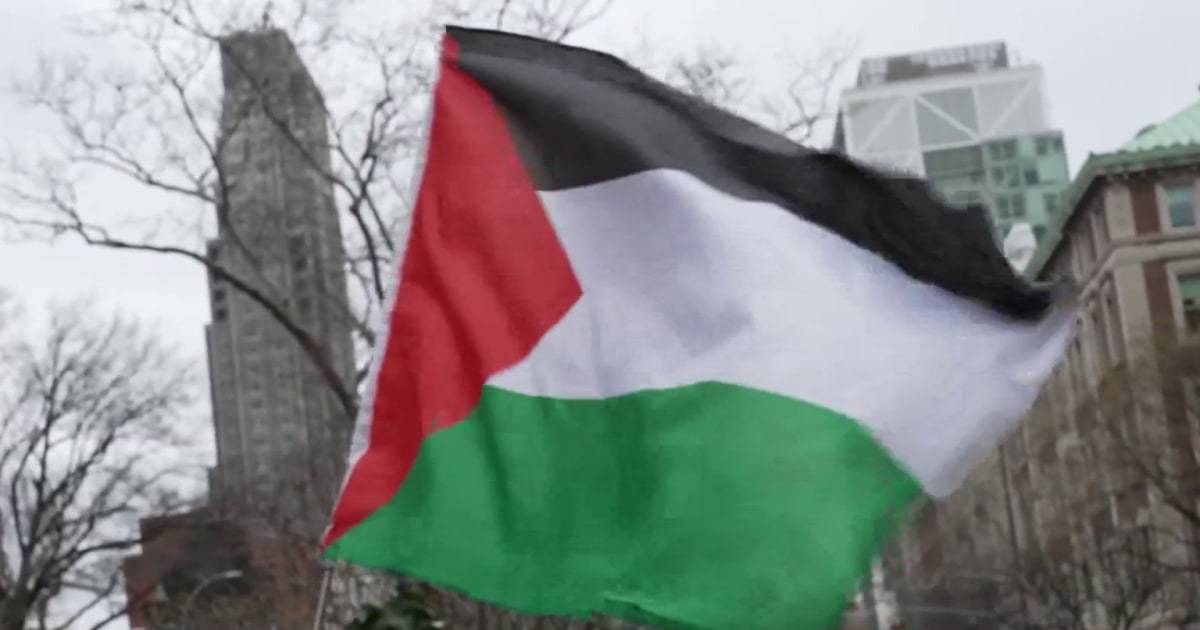 NBC News investigates claims that terror groups fund pro-Palestinian ...