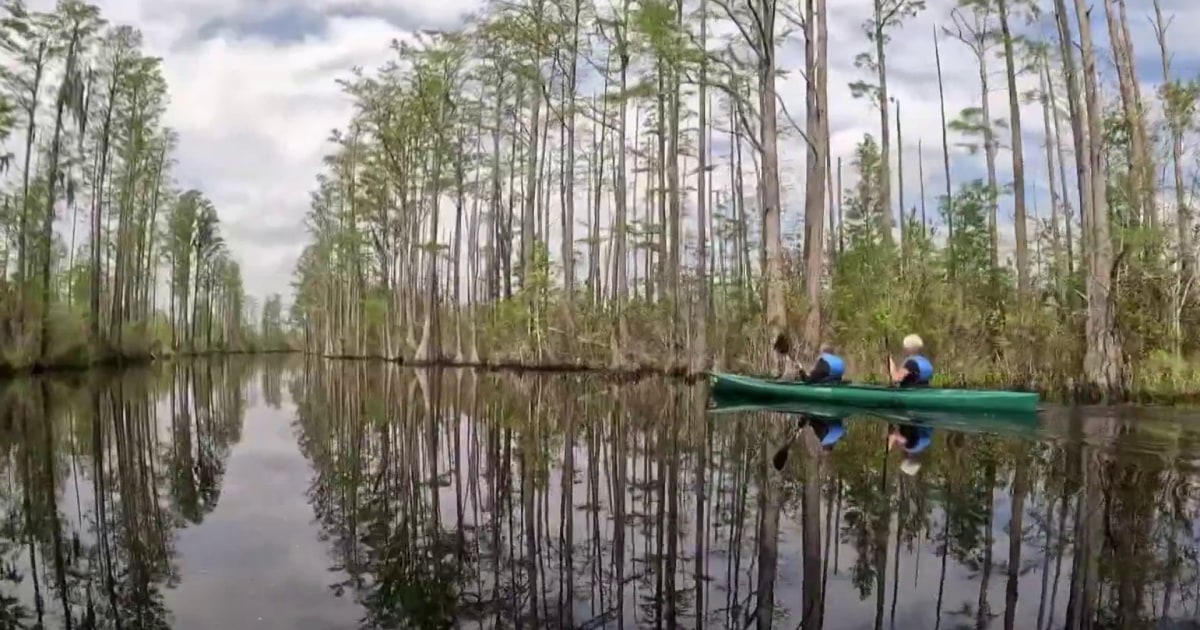 Environmentalists warn of threat to famed Okefenokee Swamp