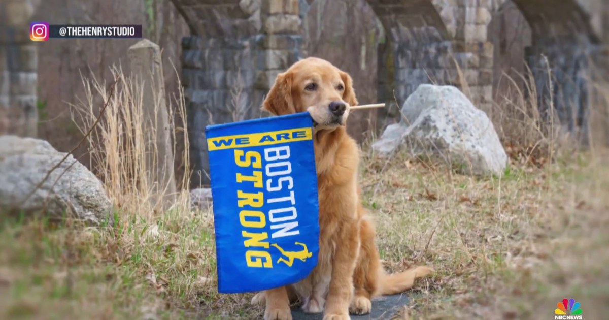 Legacy of the Boston Marathon’s beloved official dog lives on