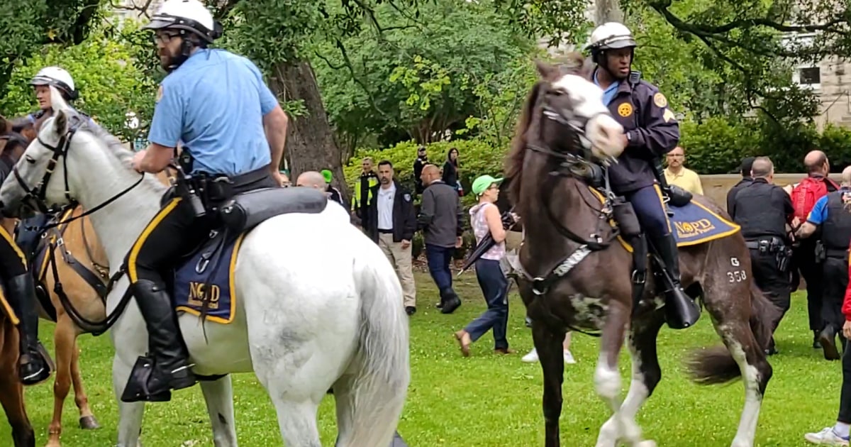 Video shows Tulane protesters clashing with police on horses