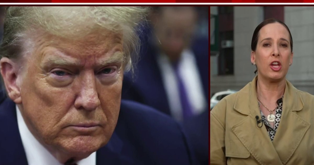 Lisa Rubin: Other witnesses possible in Trump hush money trial