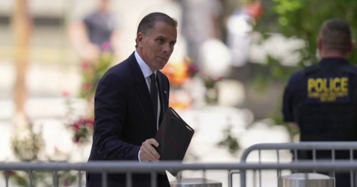 Judge in Hunter Biden's gun charges case rules on what can be referred ...