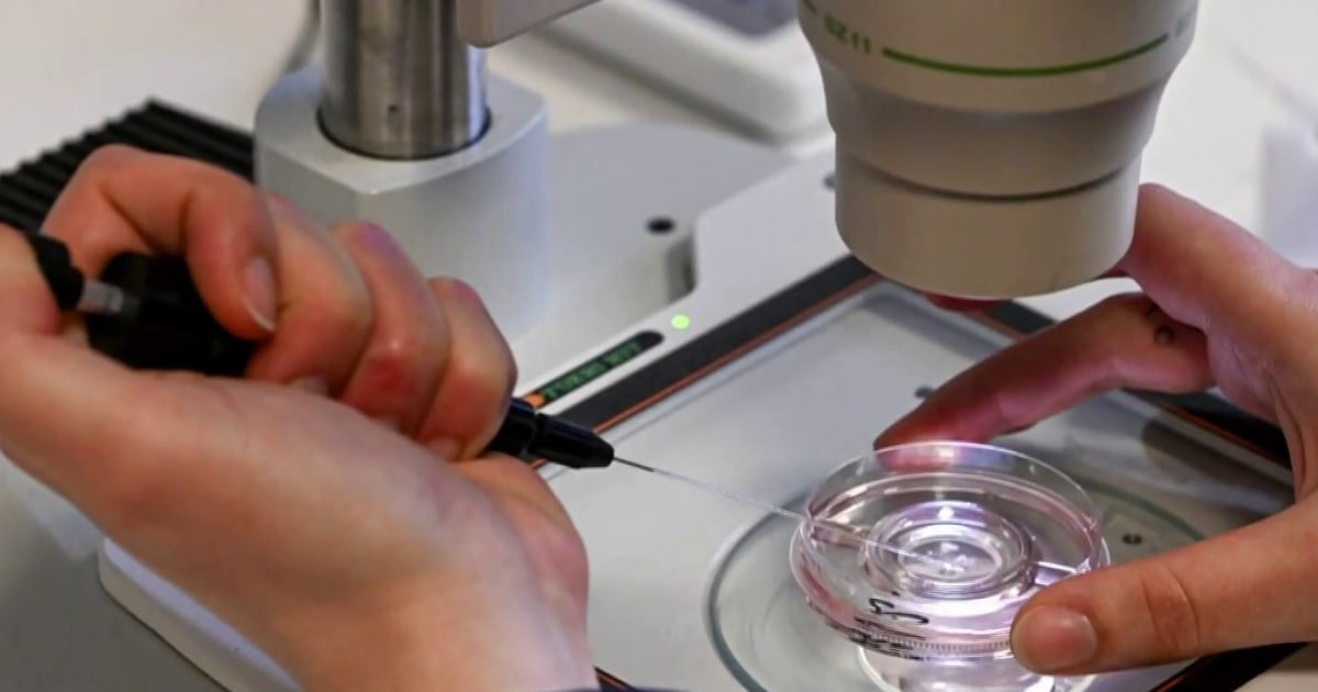 Democrats call IVF bill a message of support to women in U.S.