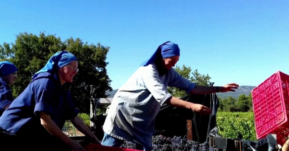 Catholic nuns run vineyard in France