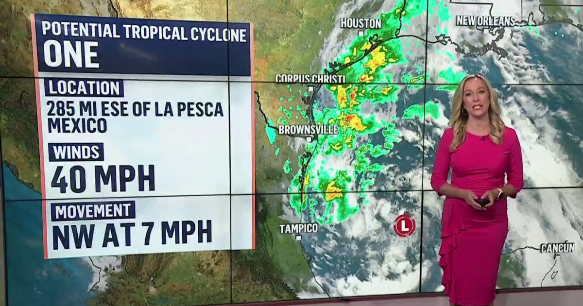 Tropical alerts along Texas coast as tropical storm nears
