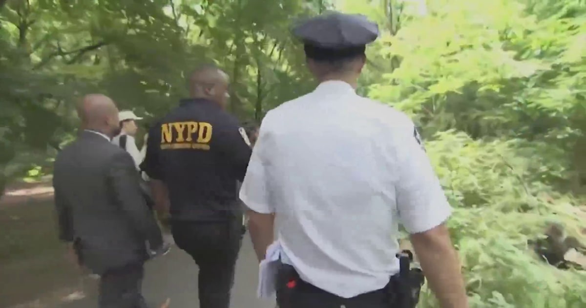 NYC police arrest a man accused of raping a 13-year-old girl in a ...