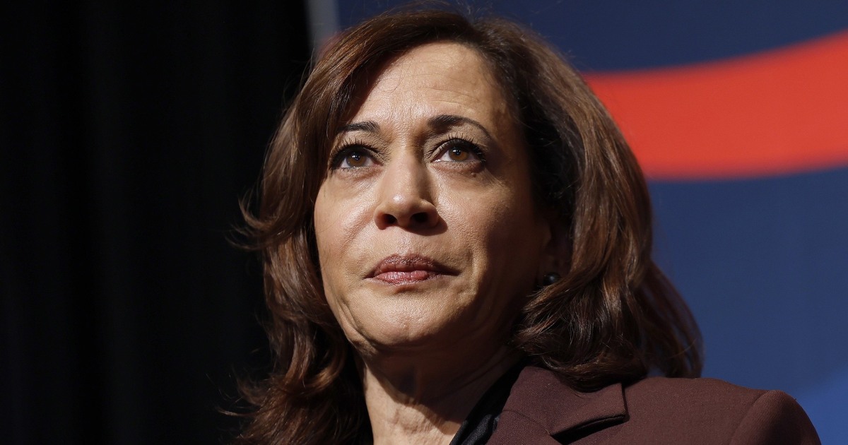 'A tough woman scares Trump': Sen. Warren relishes seeing Harris take ...