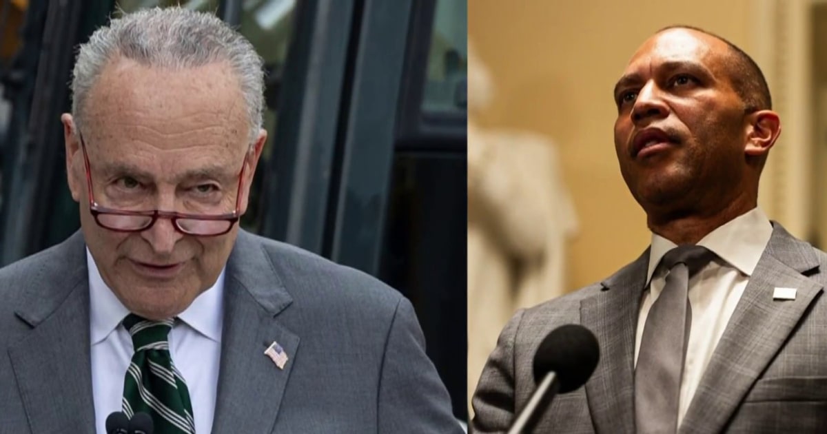 Schumer and Jeffries endorse Harris for president