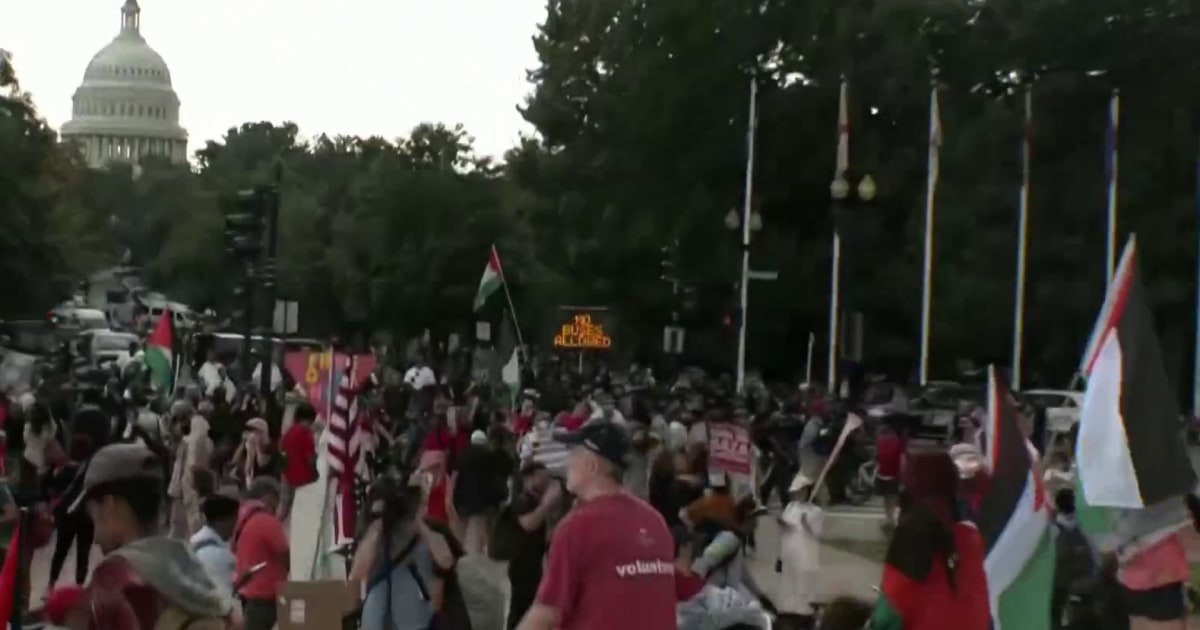 Thousands of protesters gather on Capitol Hill as Netanyahu addresses ...