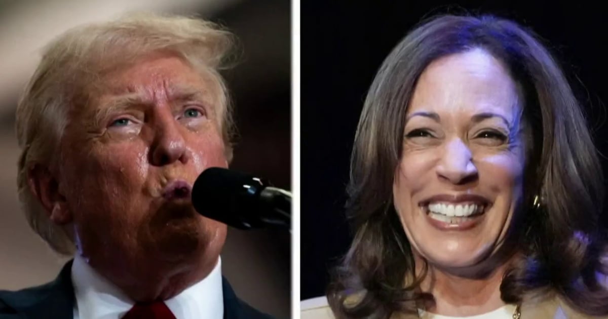 100 days until the U.S. presidential election