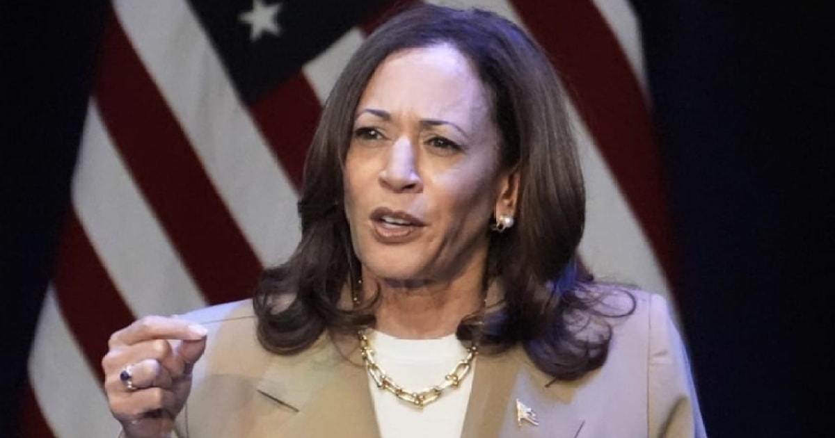 'Not a bad choice': Harris has 'deep bench' of potential running mate picks