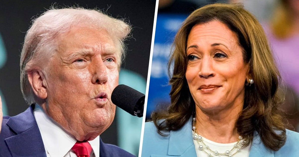 'Say it to my face': Harris calls out Trump at massive Georgia rally
