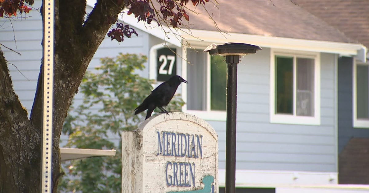 Washington police credit young girls with stopping kidnapping