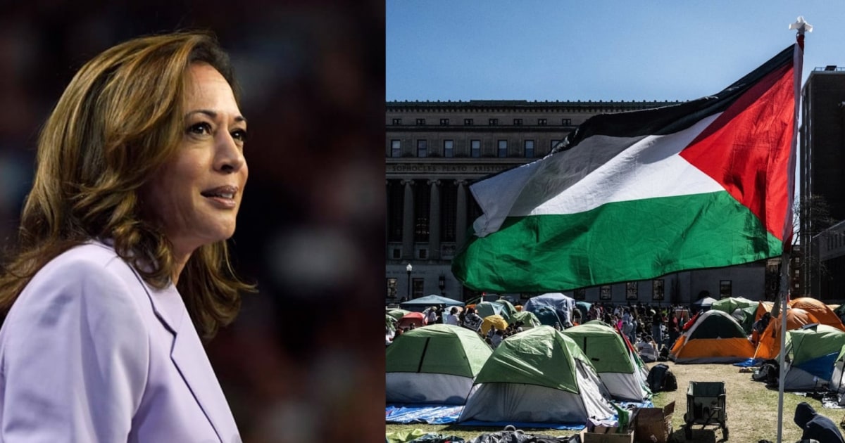 'Uncommitted' movement 'demanded' speaking time at Democratic National ...